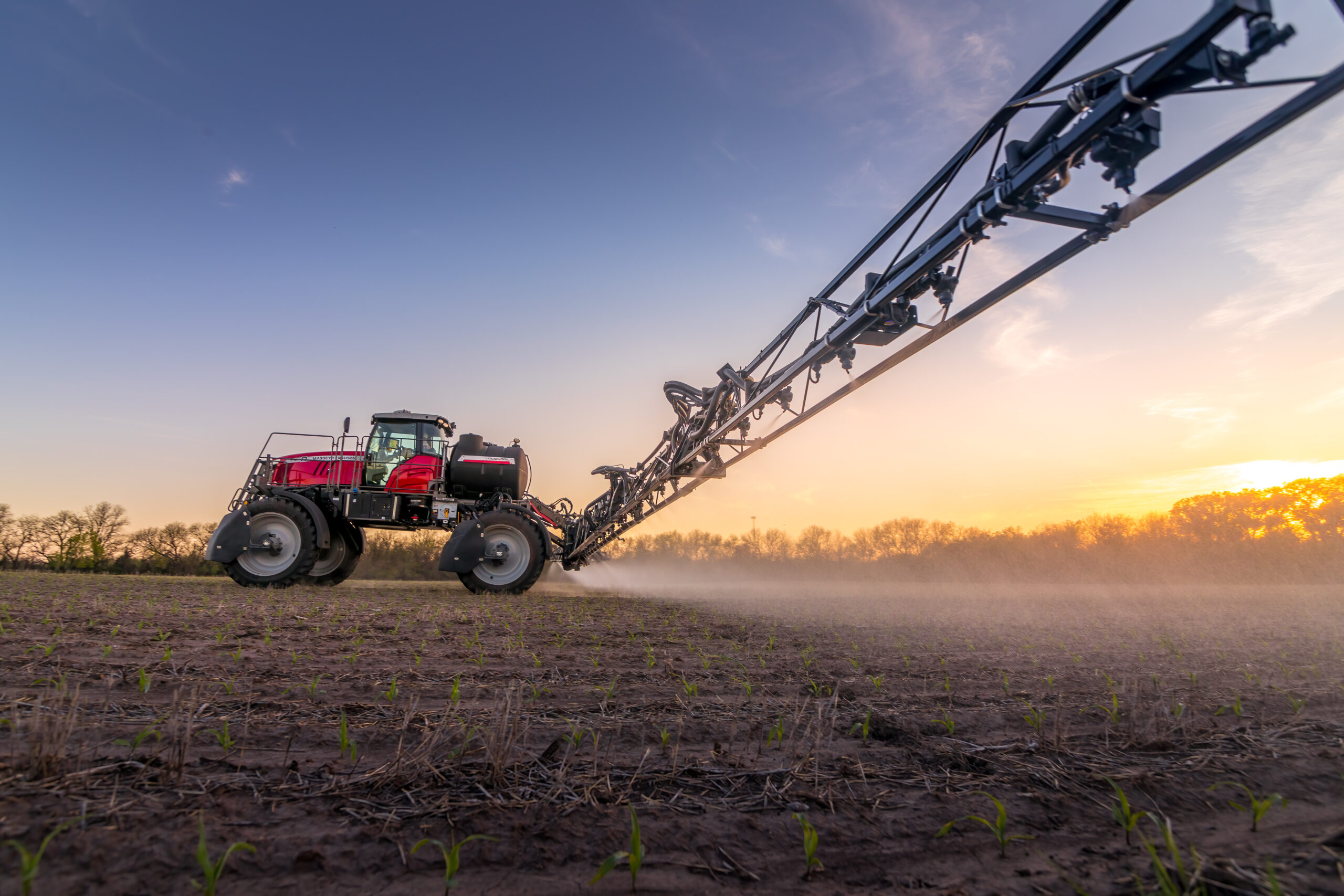 Massey Ferguson | Shuck Implement